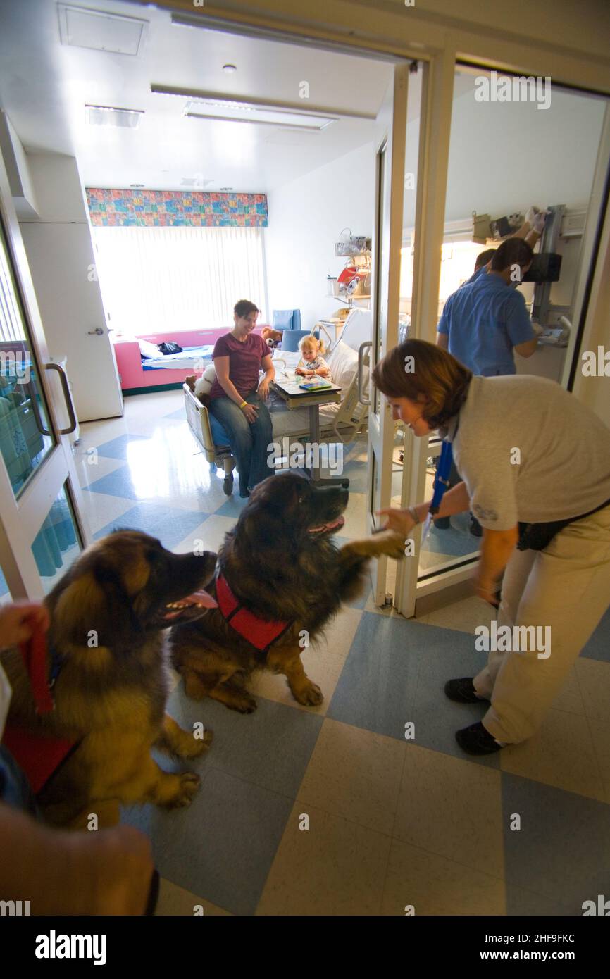 Isolation room hospital hi-res stock photography and images - Alamy