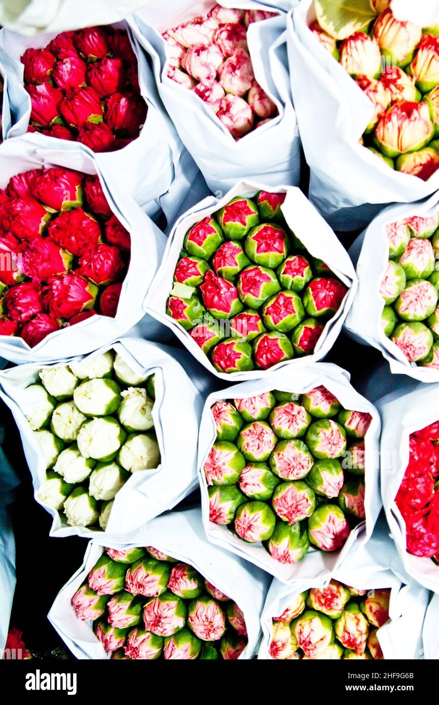 beautiful flowers at the flower market Stock Photo - Alamy