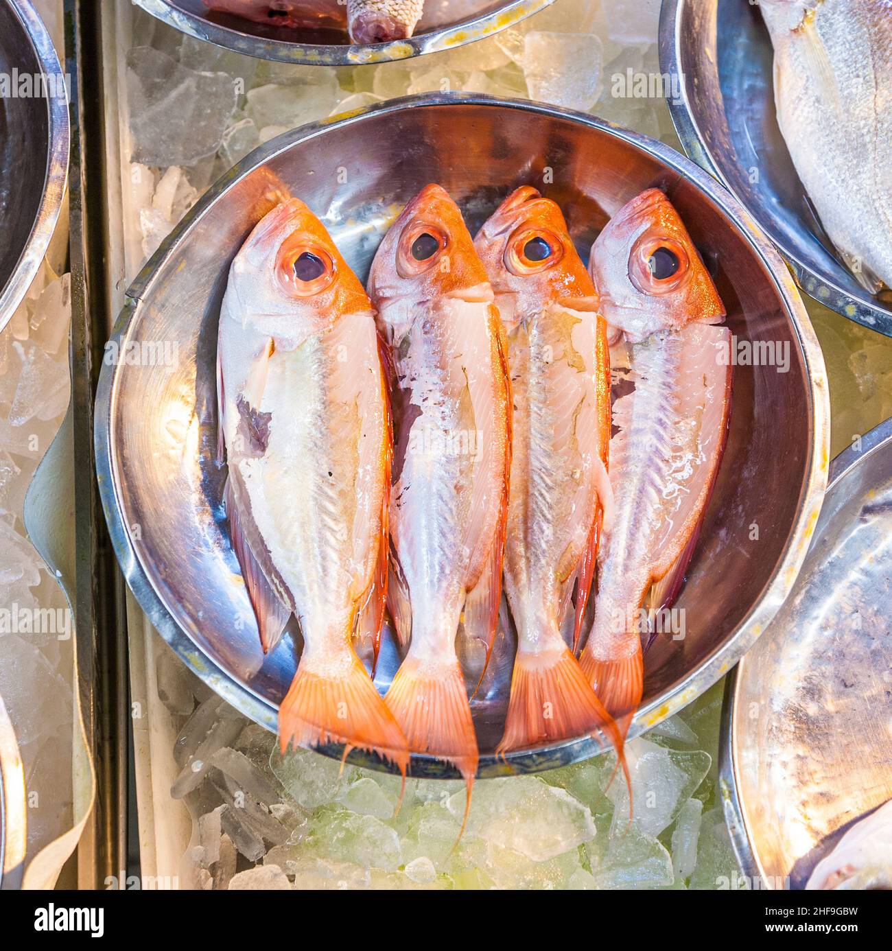 whole fresh fishes are offered in the fish market in asia Stock Photo ...