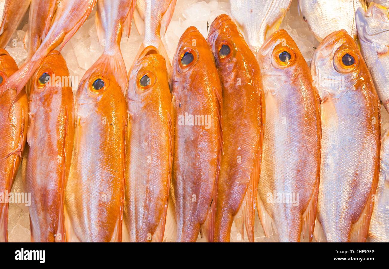 whole fresh fishes are offered in the fish market in asia Stock Photo ...