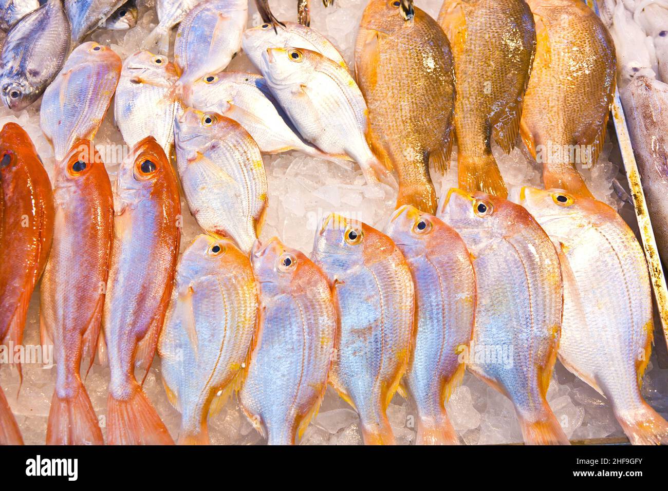 whole fresh fishes are offered in the fish market in asia Stock Photo ...