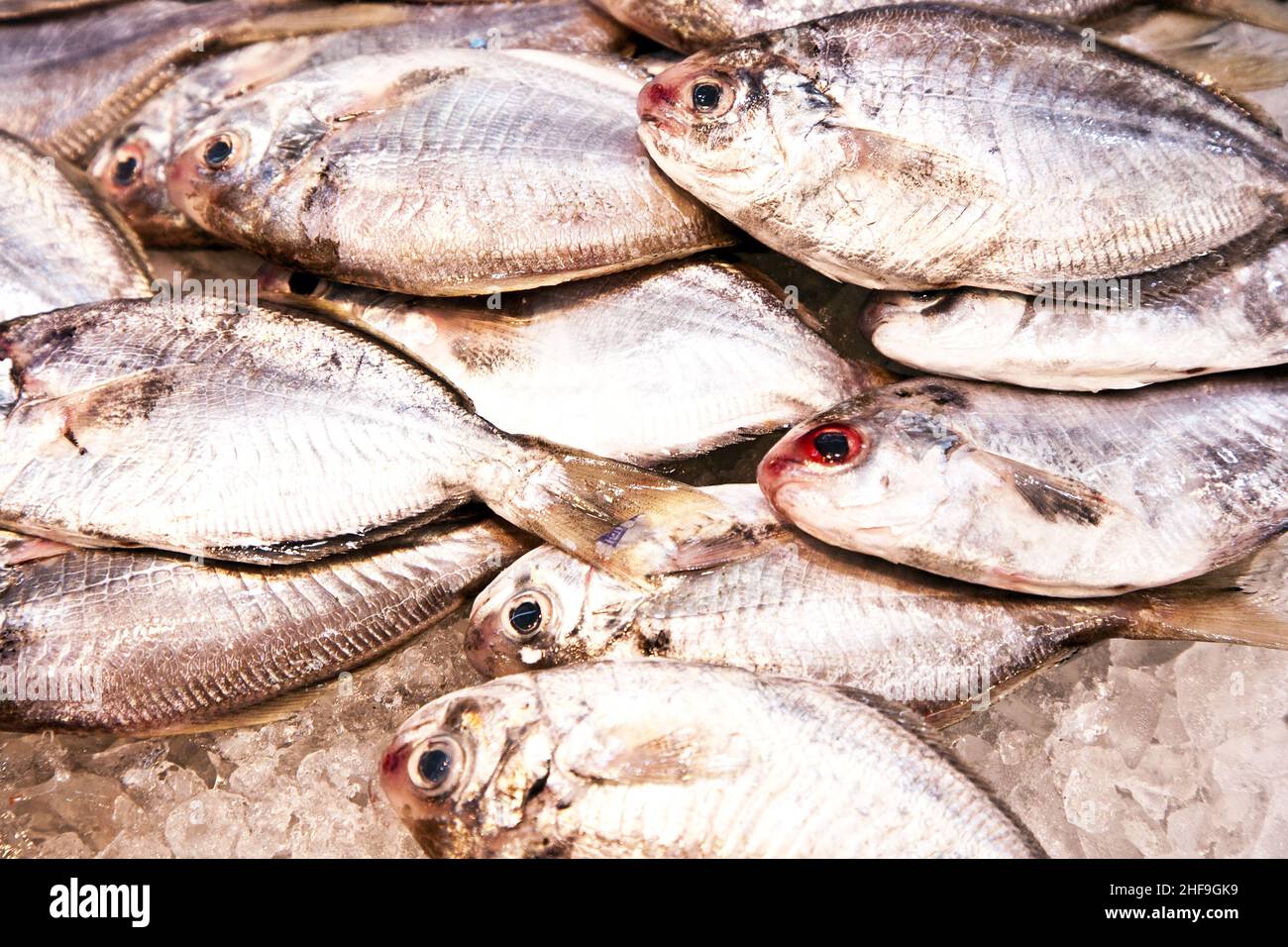 whole fresh fishes are offered in the fish market in asia Stock Photo ...