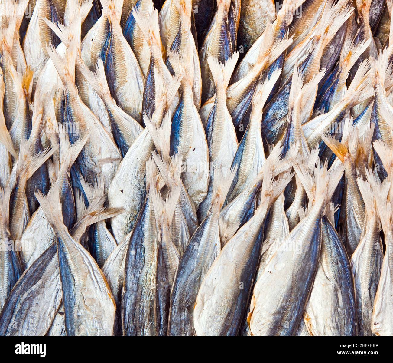Cook islands fishing industry hi-res stock photography and images - Alamy