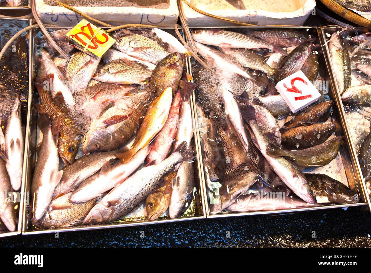 fresh fish at the market Stock Photo - Alamy