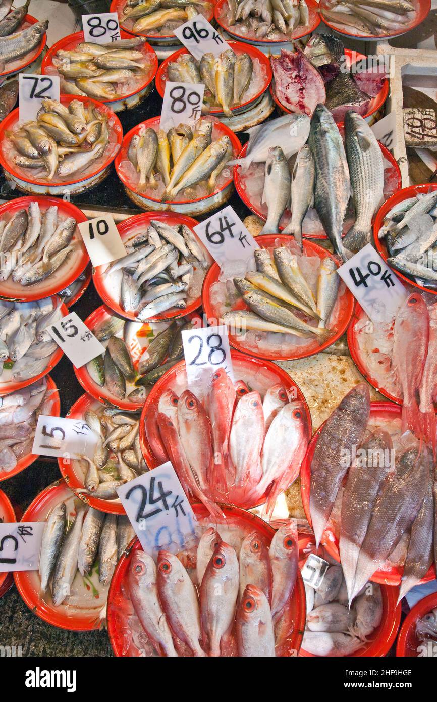 fresh fish at the market Stock Photo - Alamy