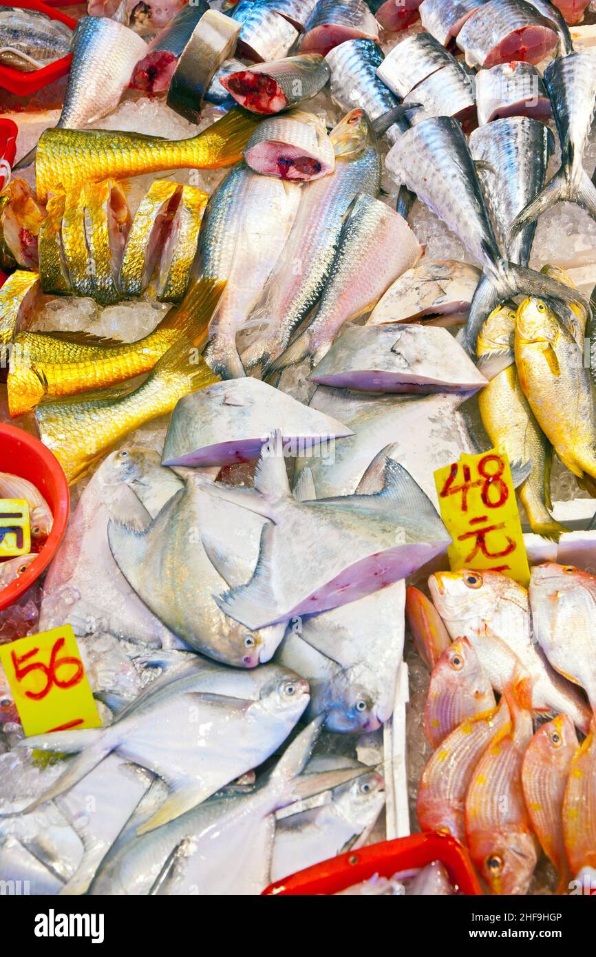 fresh fish at the market Stock Photo - Alamy