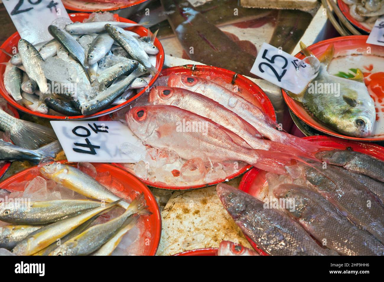 fresh fish at the market offered in a plate Stock Photo - Alamy