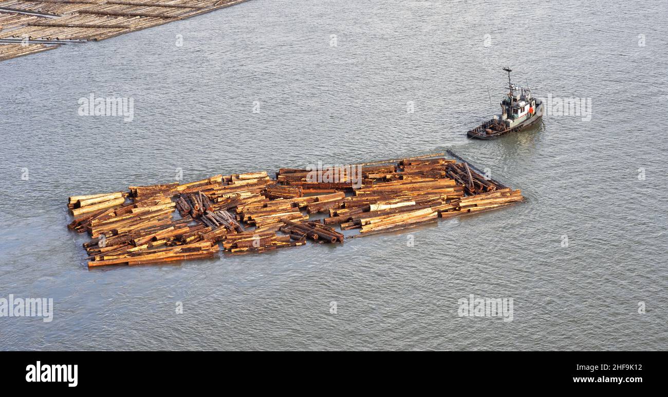 Logs pulled by a tugboat on Fraser River Stock Photo - Alamy