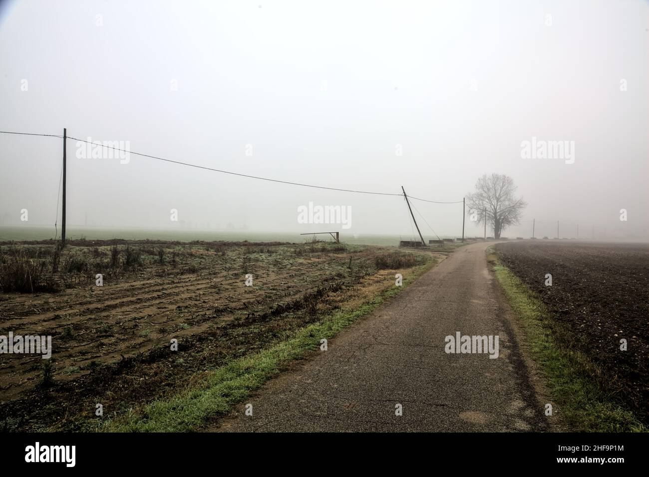 Road with a poplar and an over head power line in the italian ...