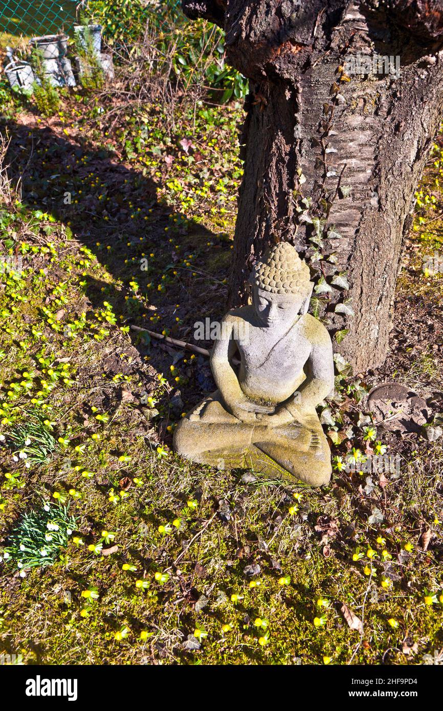 stone buddha meditation in front of a cherry tree Stock Photo - Alamy