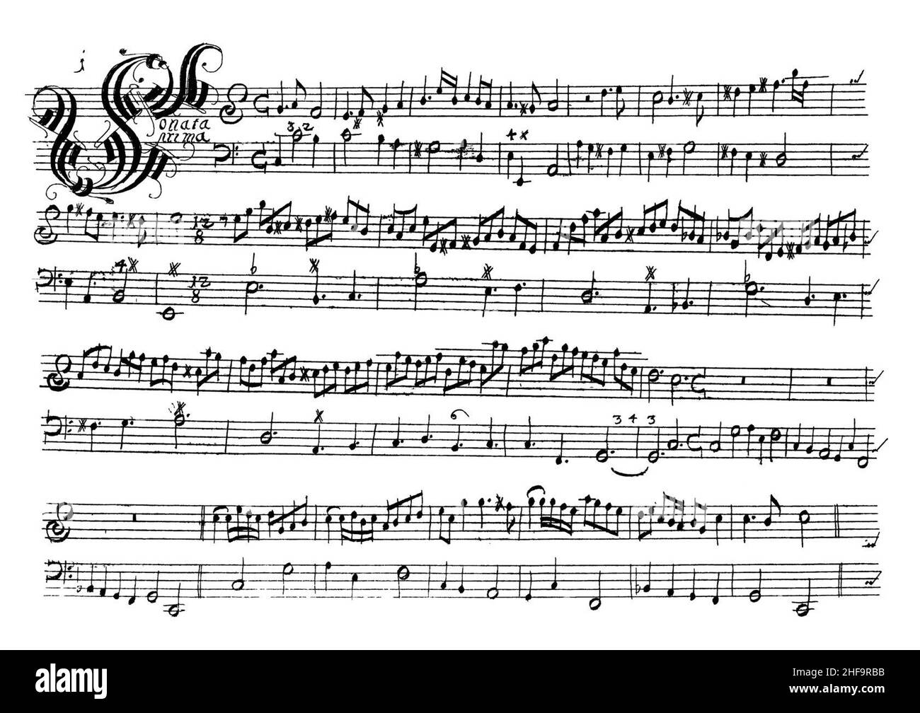 Fidium hi-res stock photography and images - Alamy