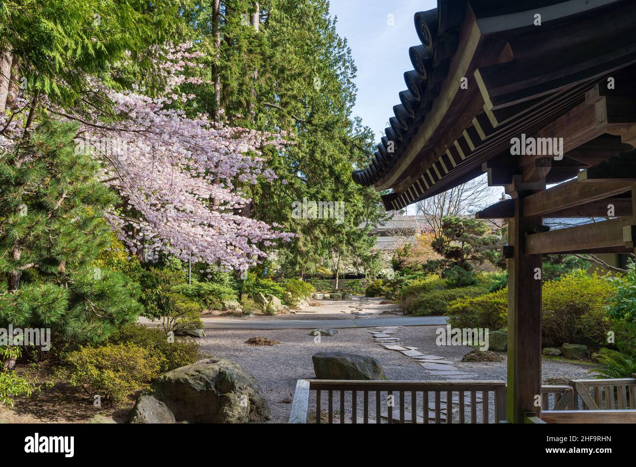 University of British Columbia (UBC) campus. Asian Centre cherry ...