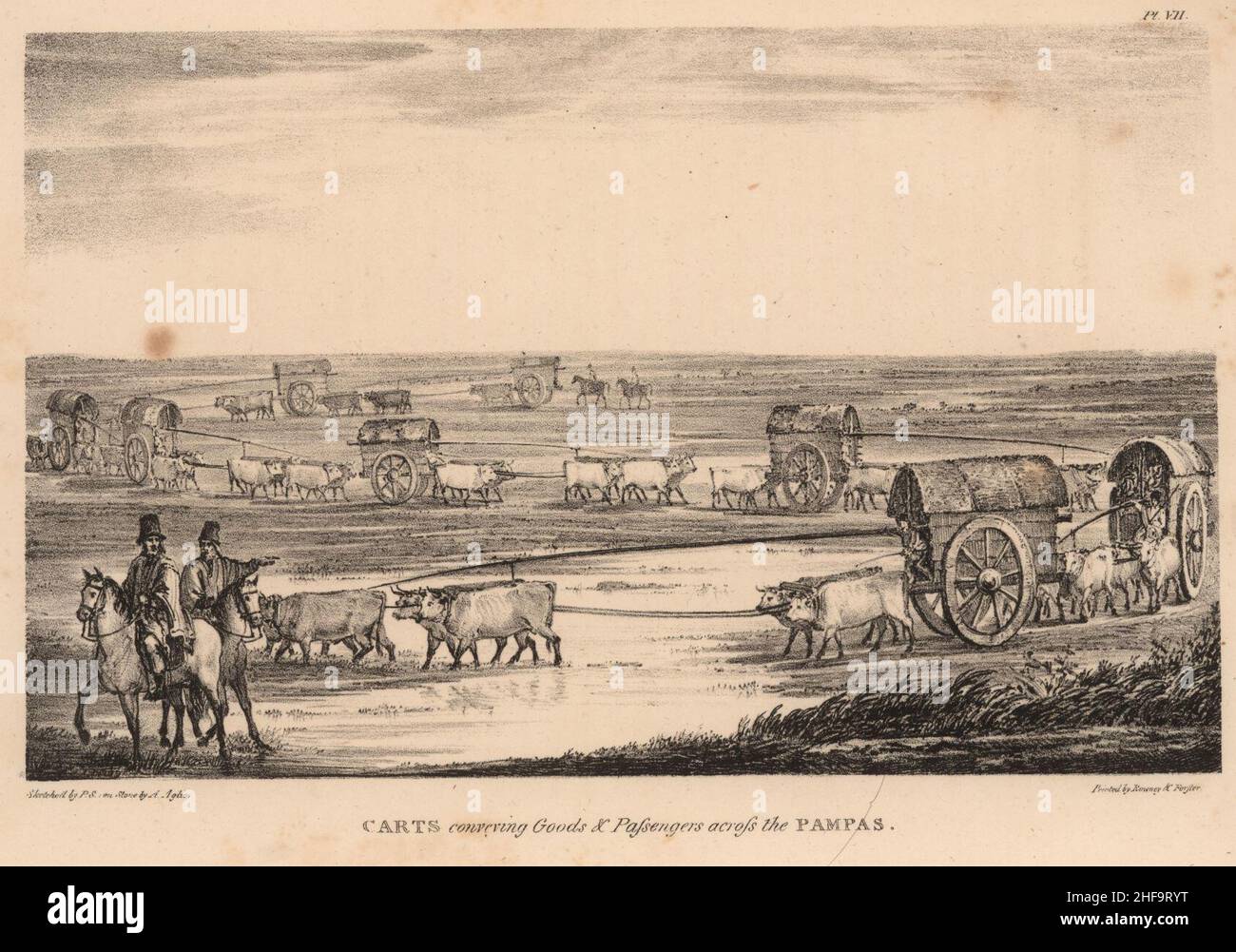 Schmidtmeyer, Peter & Aglio, A - Carts conveying Goods & Passengers ...
