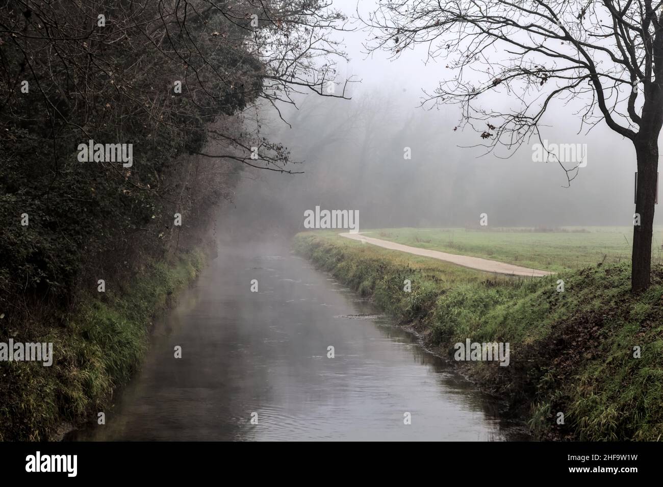 Stream of water that borders a forest with a dirt path by its edge in ...