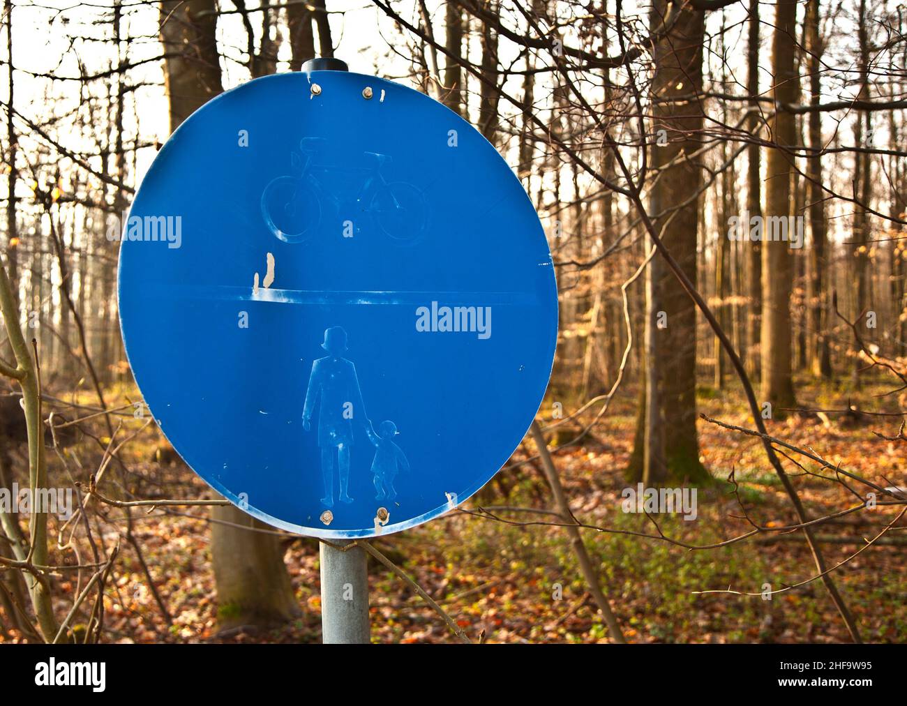 pedestrian sign with nearly lost color in the forest to indicate ...
