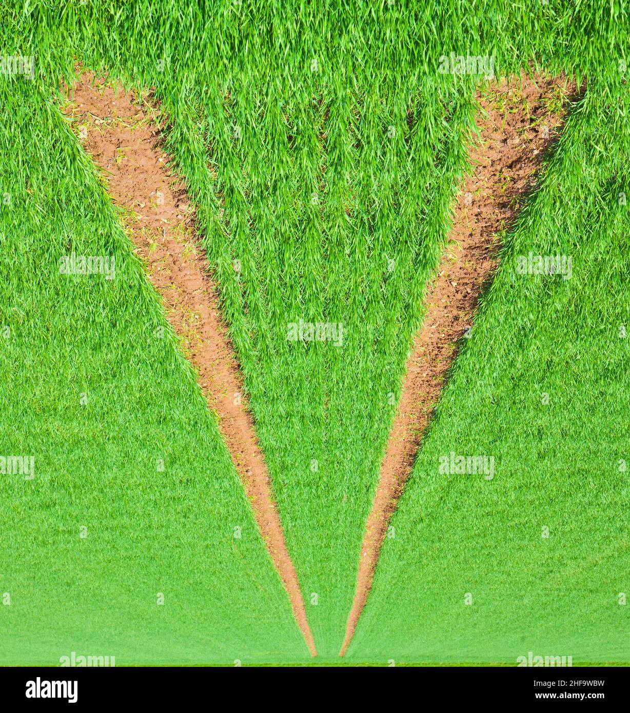 Tire Path In green Field in springtime Stock Photo - Alamy