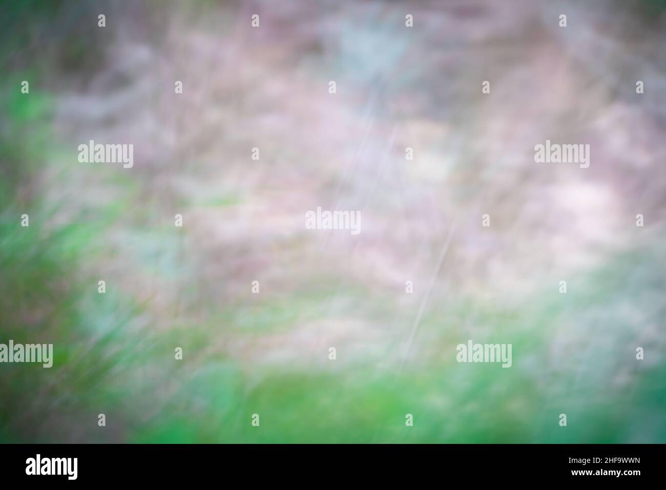 Abstract Australian bush colors and effect background Stock Photo - Alamy