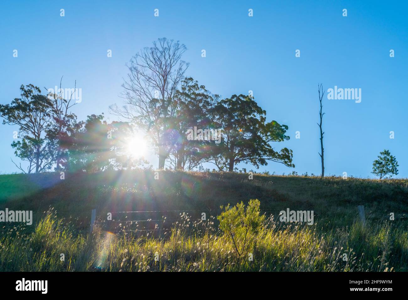 Typical sunny Queensland rural background landscape looking into sun ...