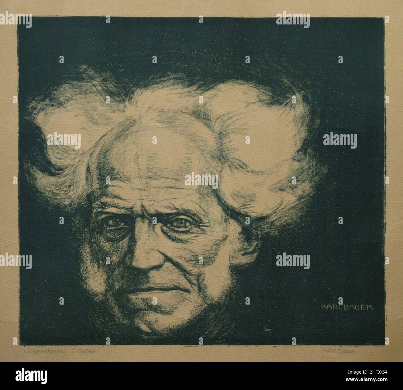 Schopenhauer by Karl Bauer Stock Photo - Alamy
