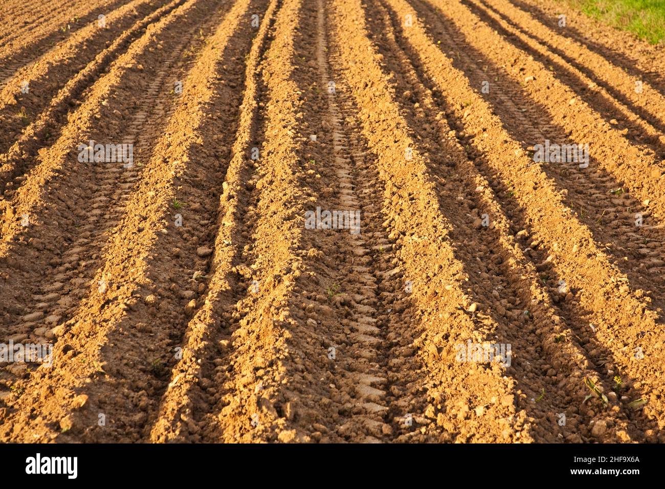 Background of newly plowed field Stock Photo - Alamy