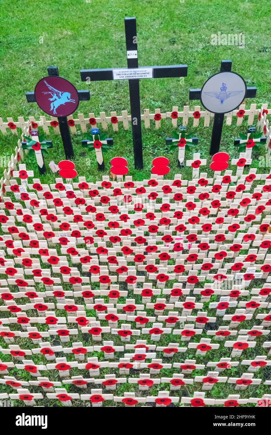 England, London, Westminster Abbey, The Field of Remembrance, Display ...