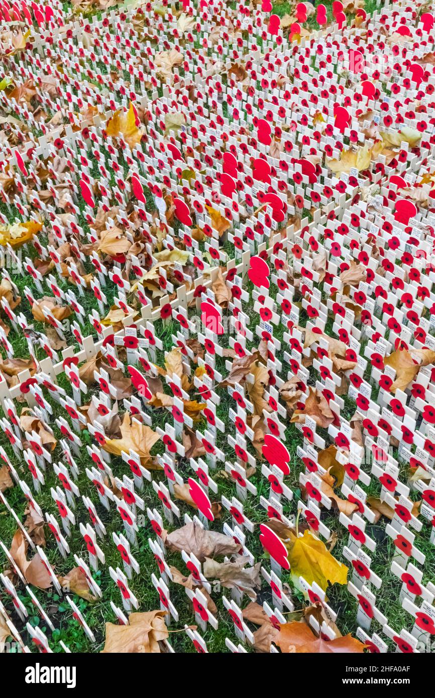 England, London, Westminster Abbey, The Field of Remembrance, Display ...