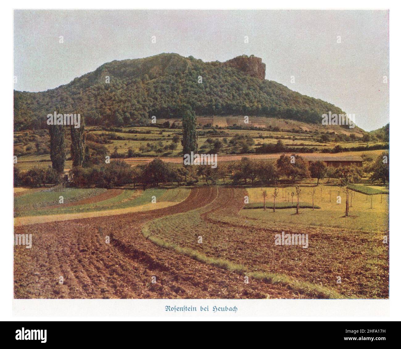 Heubach Cut Out Stock Images & Pictures - Alamy