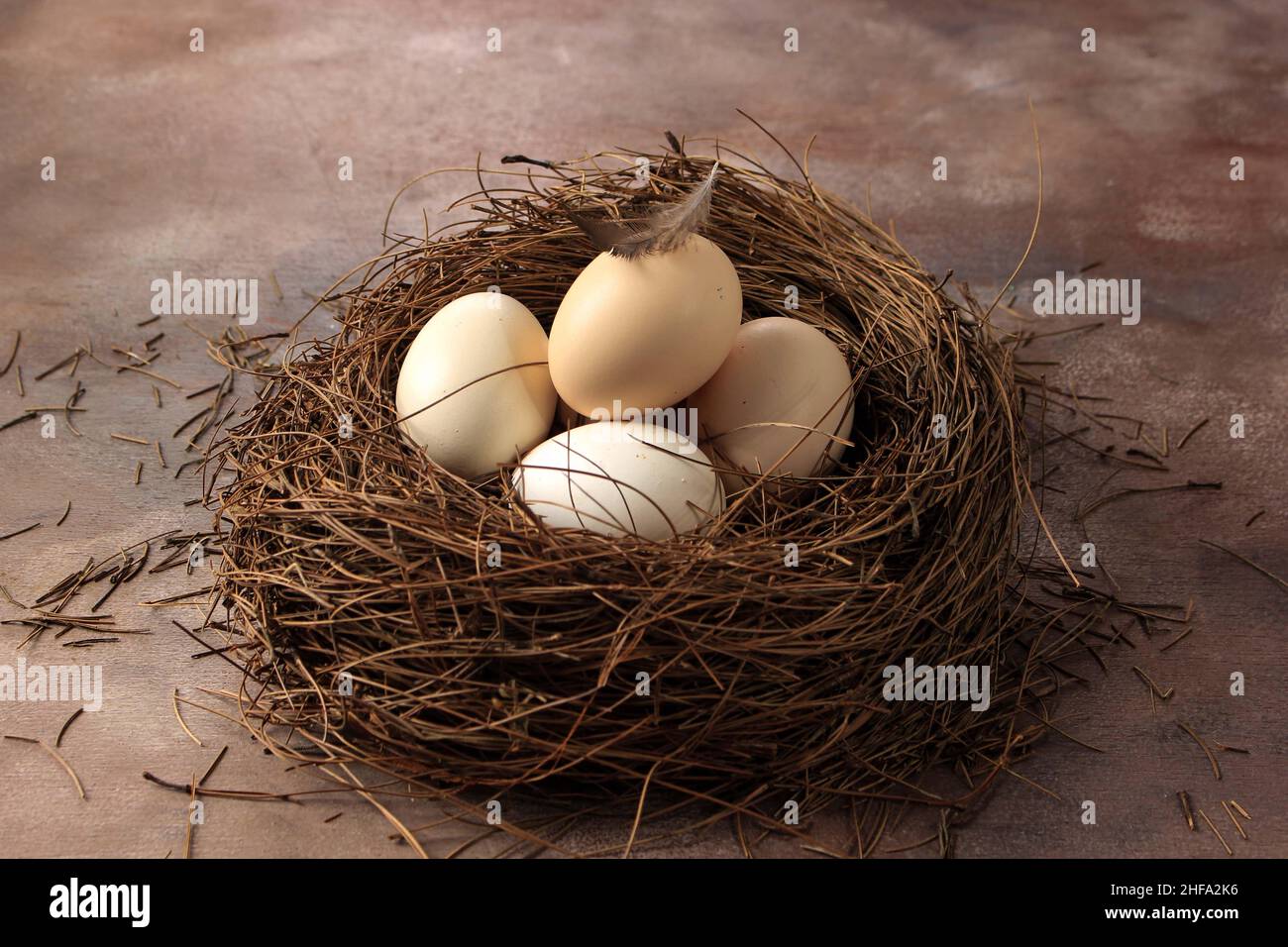 Egg, Raw on Bird Nest Stock Photo - Alamy