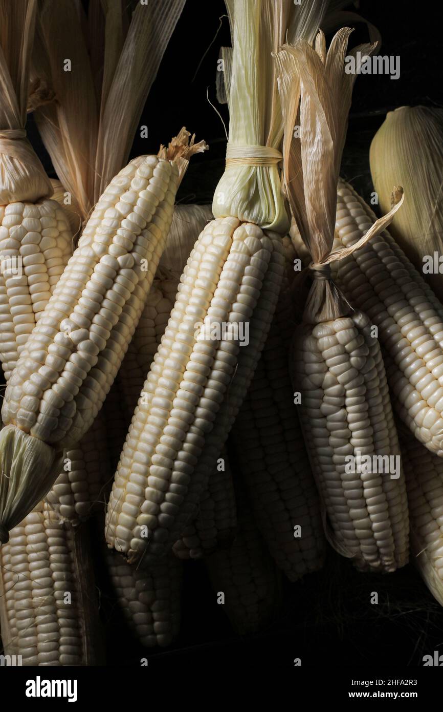 White Sticky Corn (waxy Corn), Jagung Ketan from Lombok, Indonesia ...