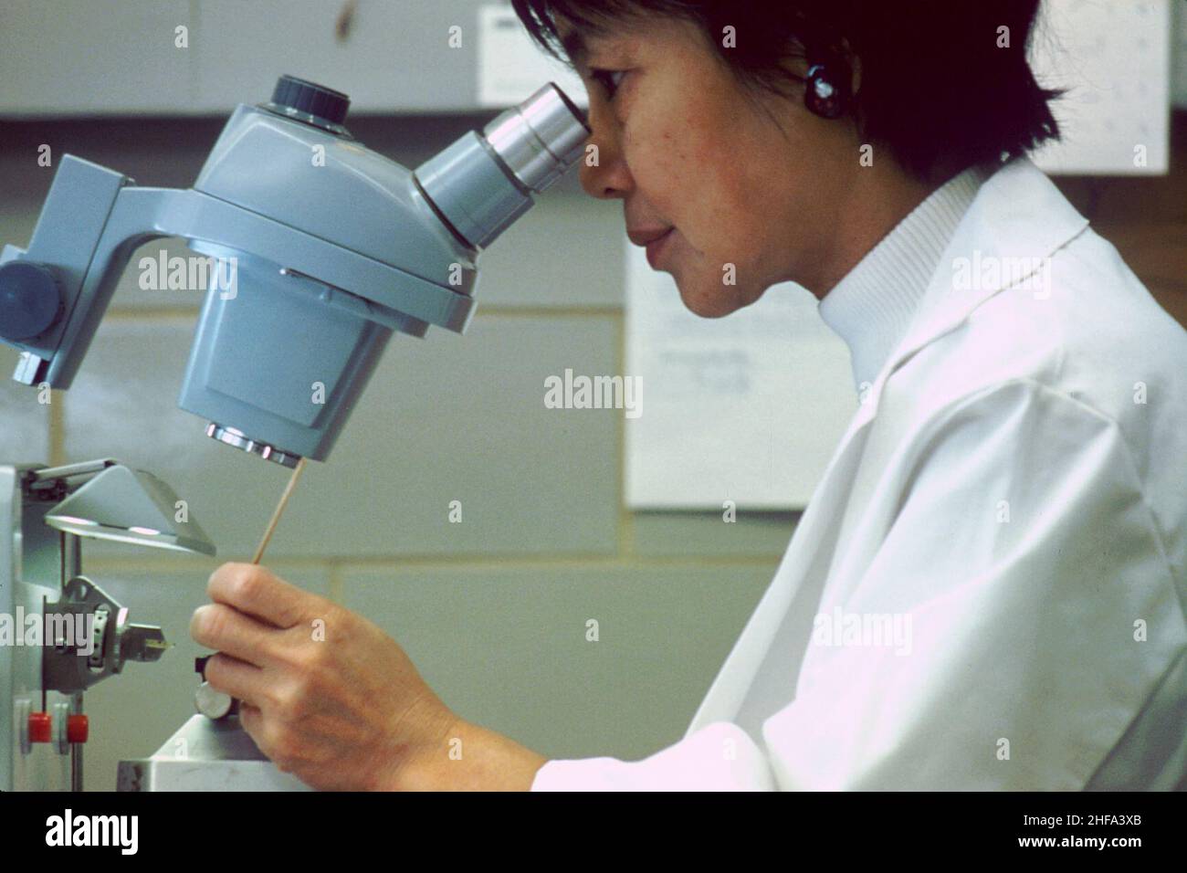 Scientist looking thorugh microscope Stock Photo - Alamy