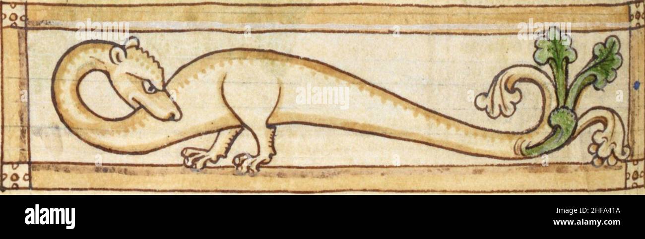 Scitalis hi-res stock photography and images - Alamy