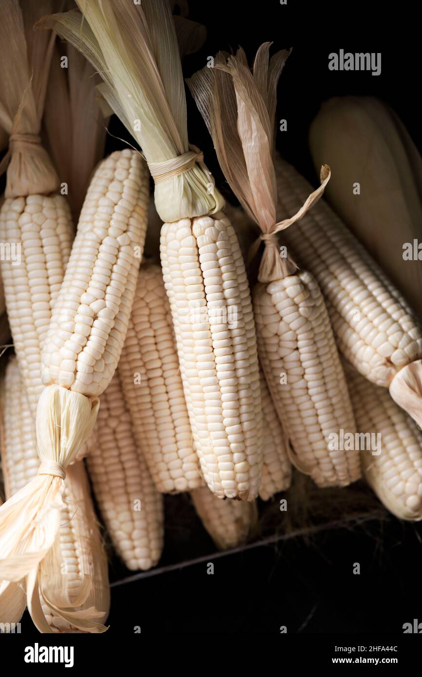 White Sticky Corn (waxy Corn), Jagung Ketan from Lombok, Indonesia ...