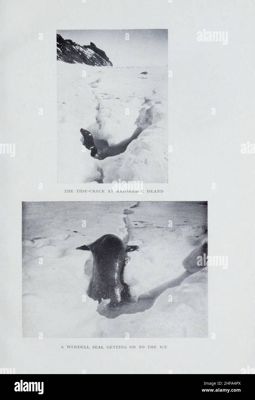 Scott's last expedition Stock Photo - Alamy