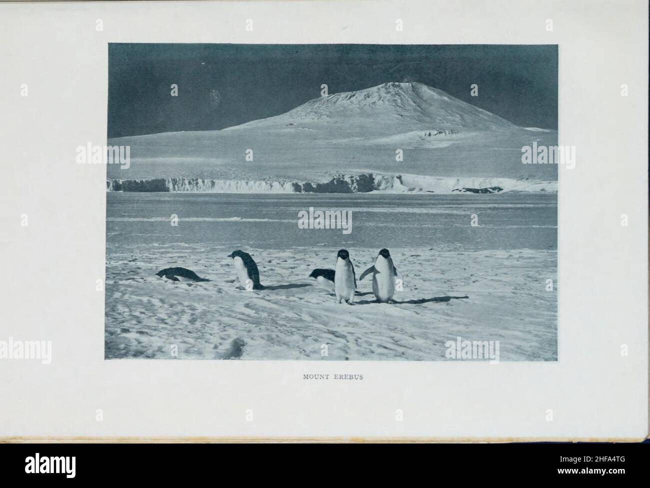 Scott's last expedition Stock Photo - Alamy