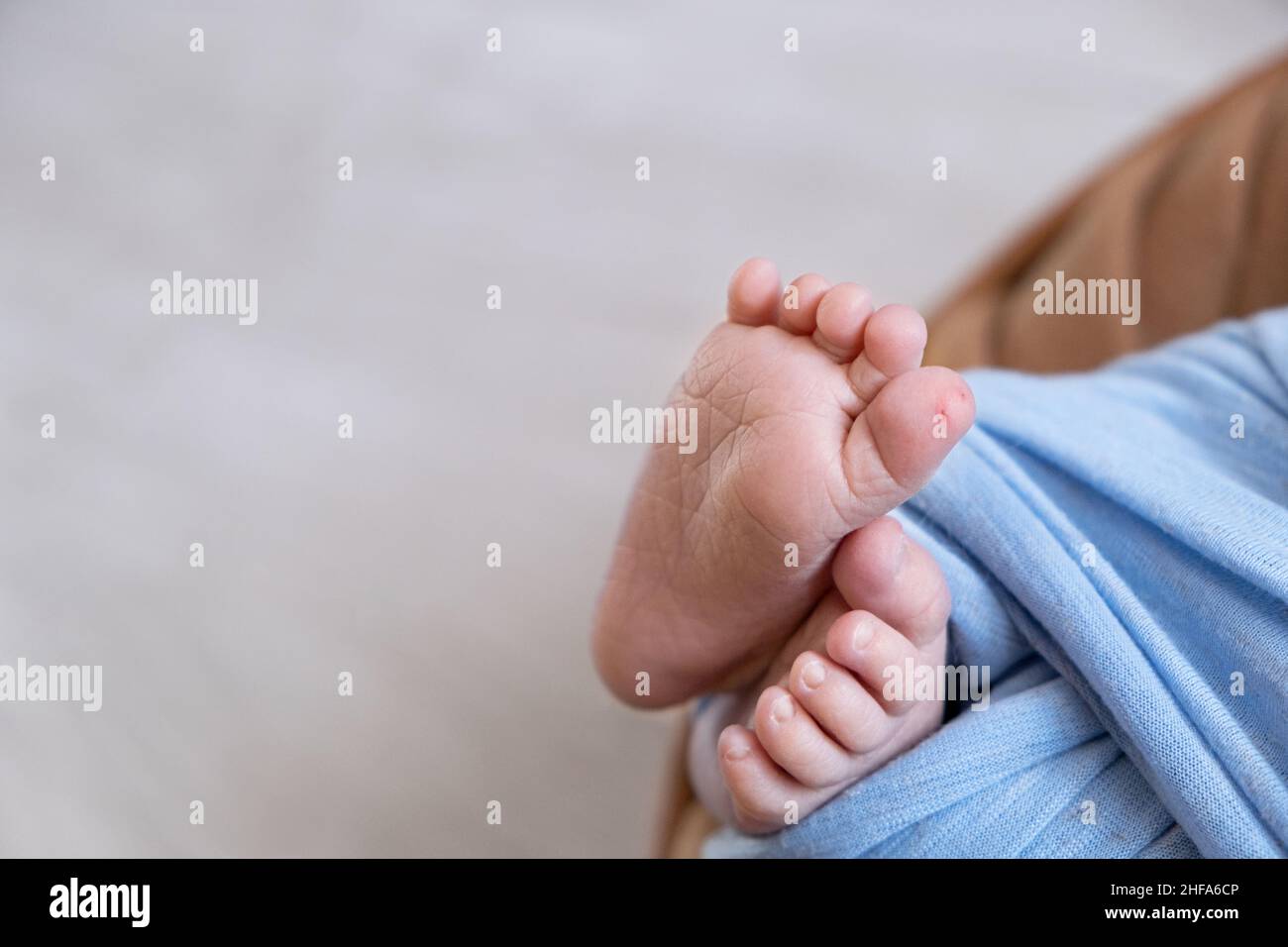Newborn baby feet. blood sampling from newborns, blood test, Selective ...