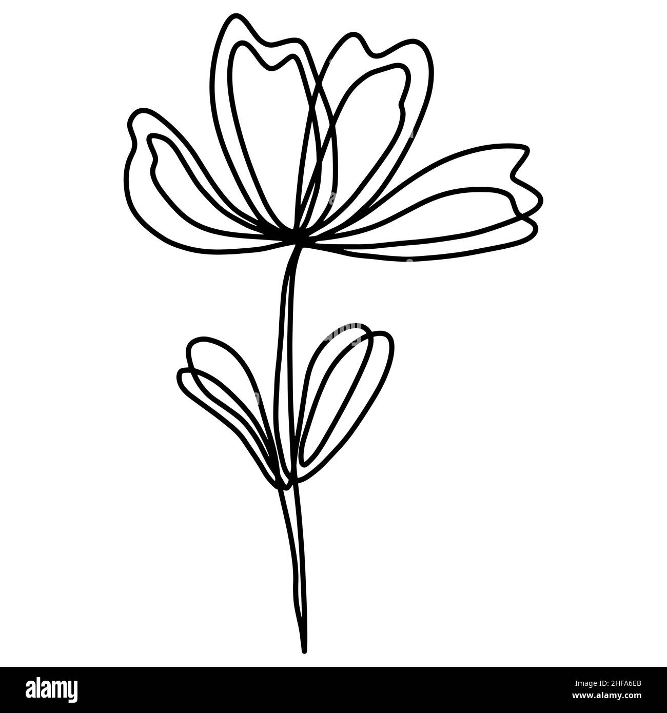 Graceful line drawing Black and White Stock Photos & Images - Alamy