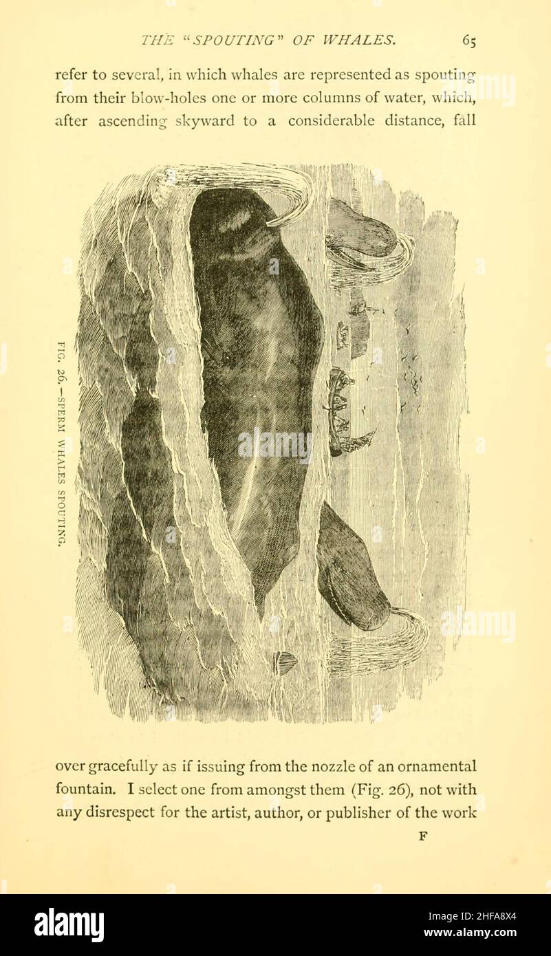 Sea fables explained hi-res stock photography and images - Alamy