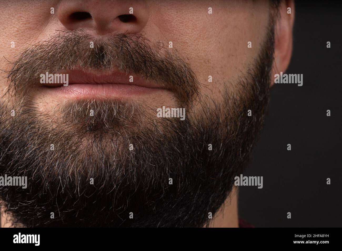 Well groomed beard hi-res stock photography and images - Alamy