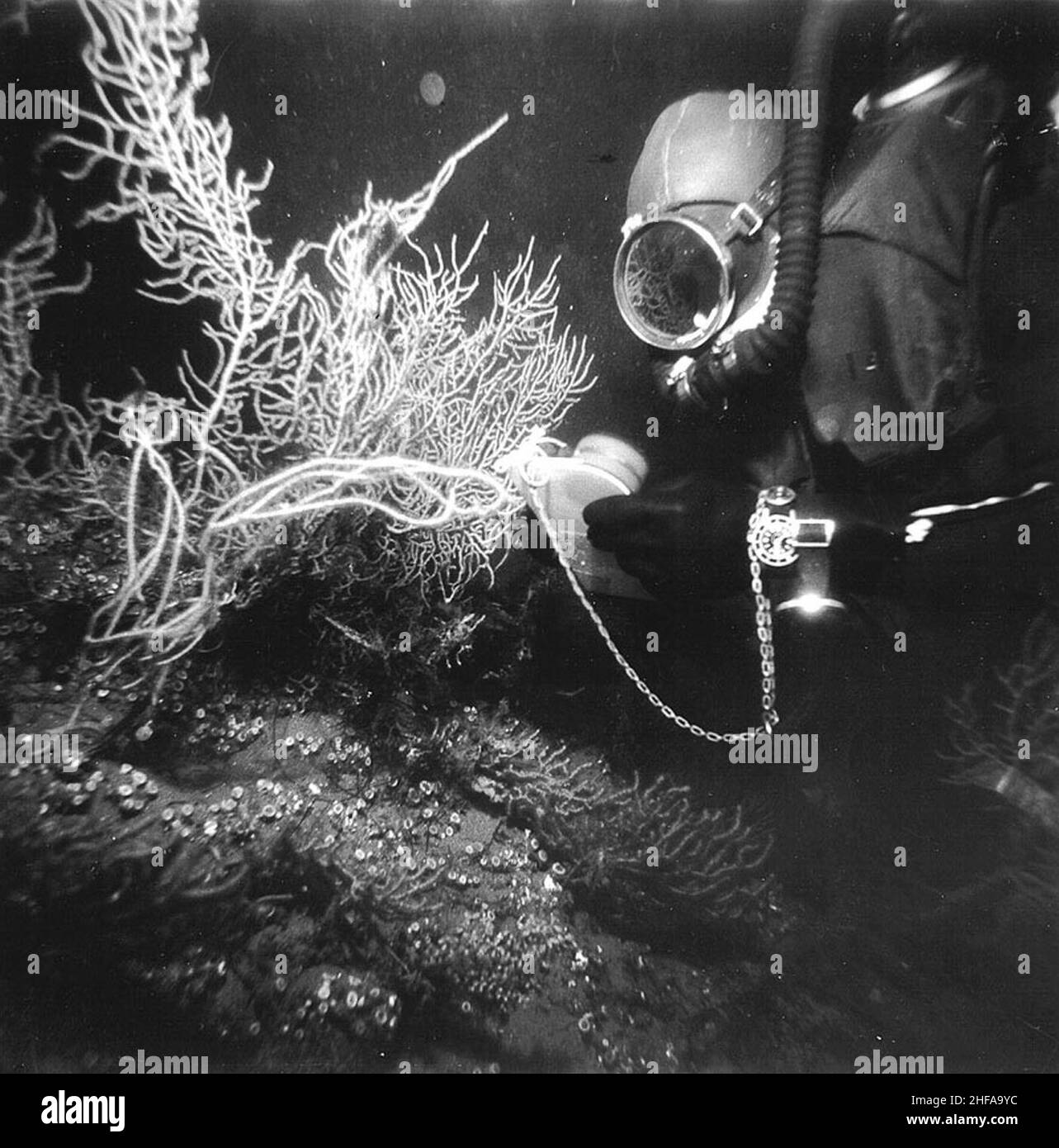 Sealab hi-res stock photography and images - Alamy