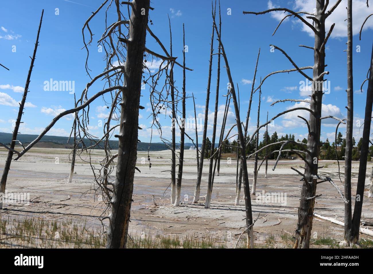 Hotlands hi-res stock photography and images - Alamy