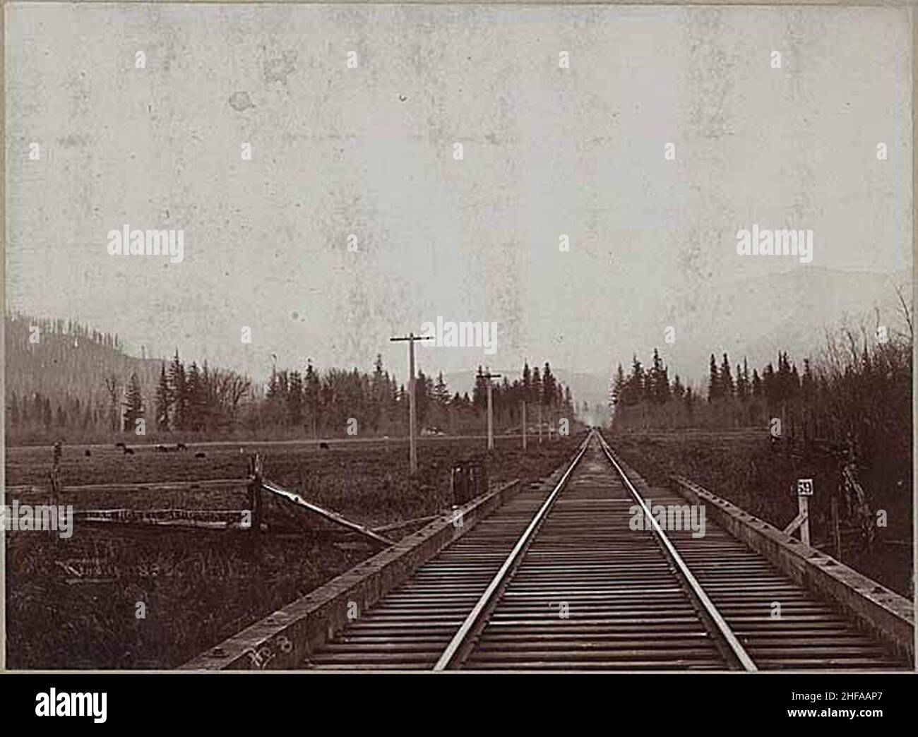 Seattle, Lake Shore & Eastern Railway tracks, near North Bend, ca 1900 ...