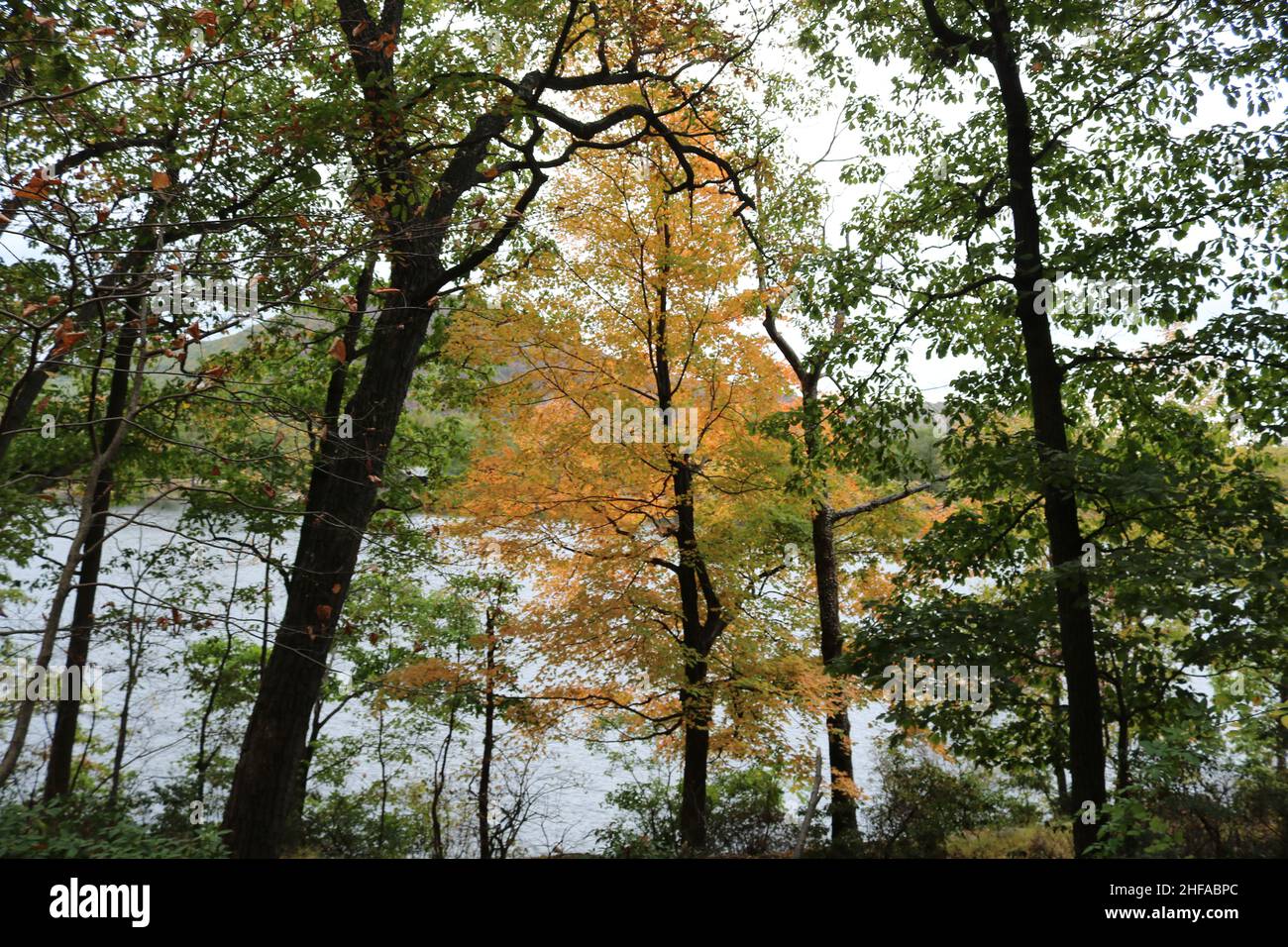 Bear Mountain in the fall Stock Photo - Alamy