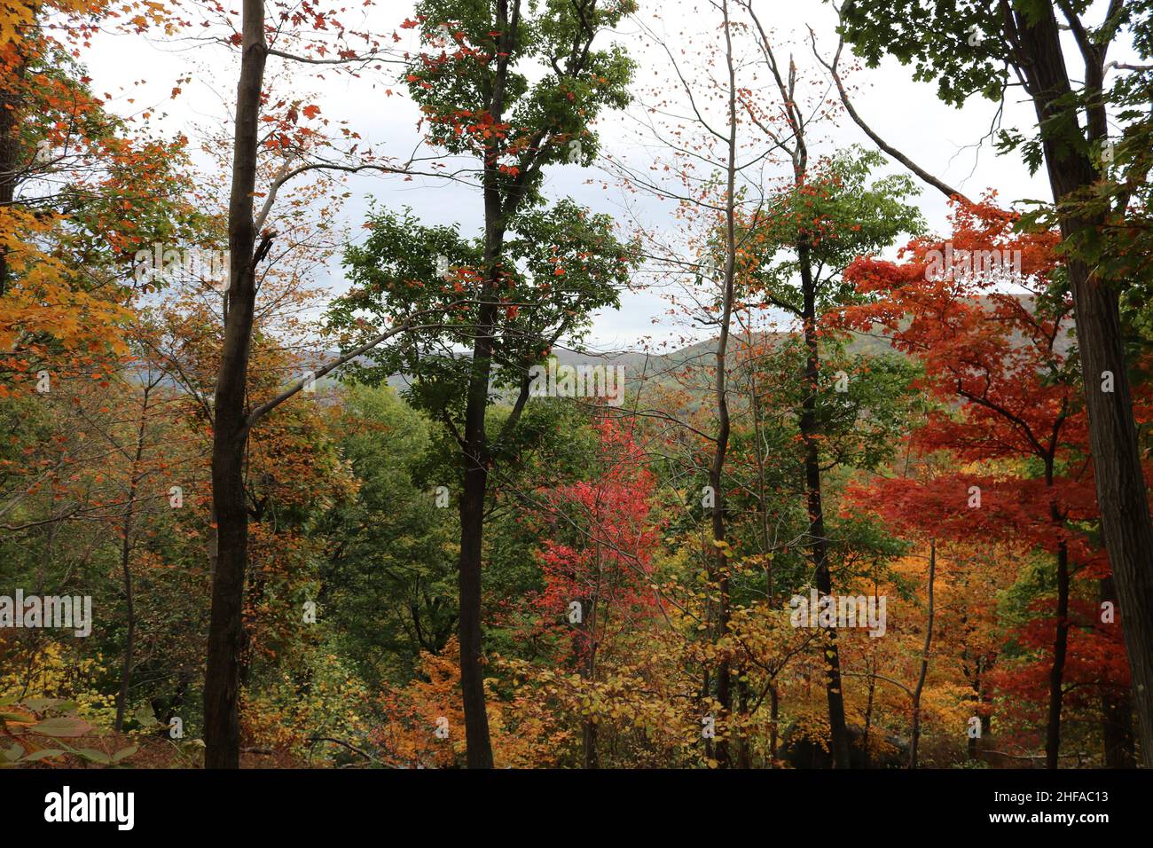 Bear Mountain in the fall Stock Photo - Alamy