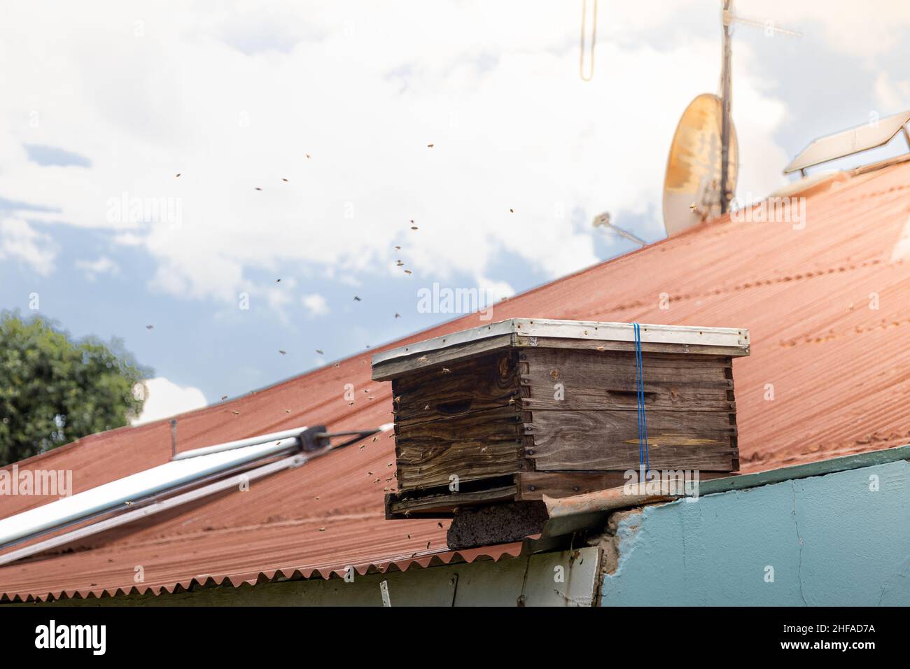 bee hives on house roof with a swarm of bees flying in-front of it ...