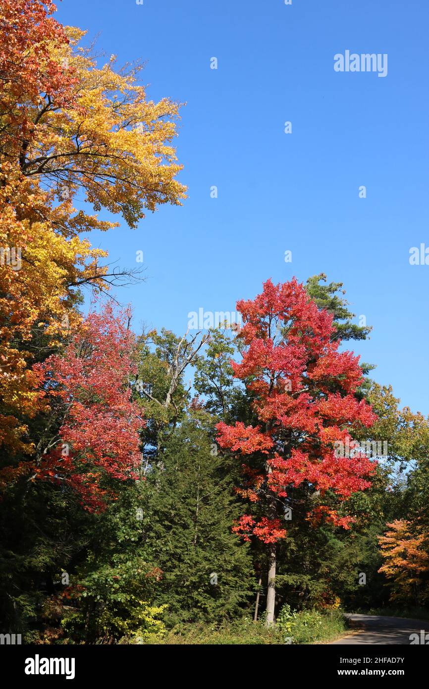 Fall colors at North South Lake Stock Photo - Alamy