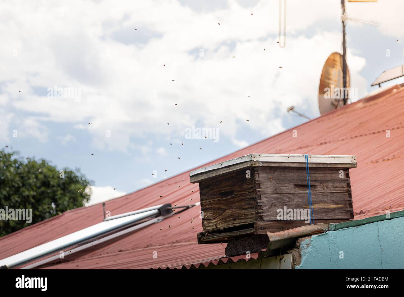 bee hives on house roof with a swarm of bees flying in-front of it ...