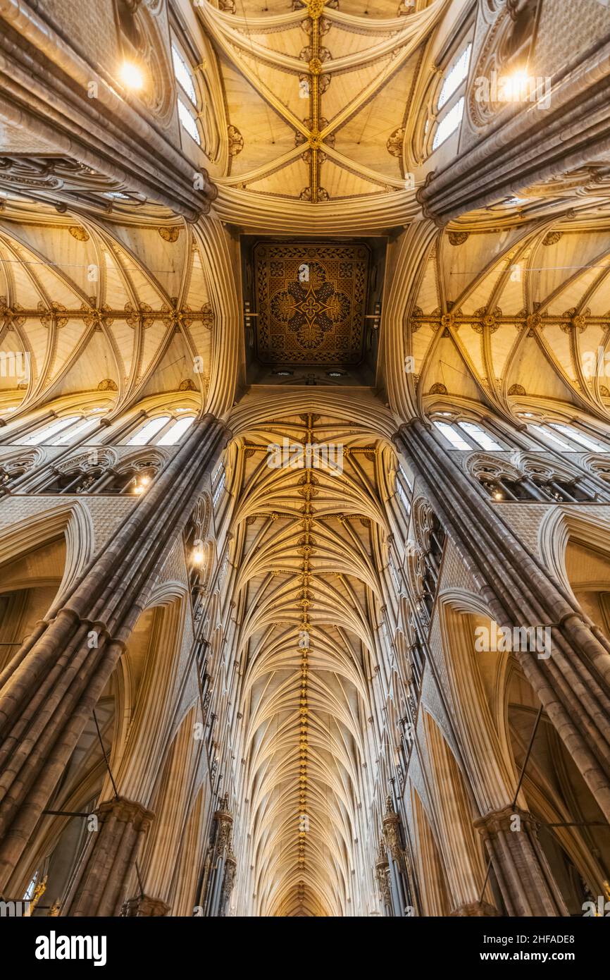 England, London, Westminster Abbey, The Vaulted Ceiling Stock Photo - Alamy