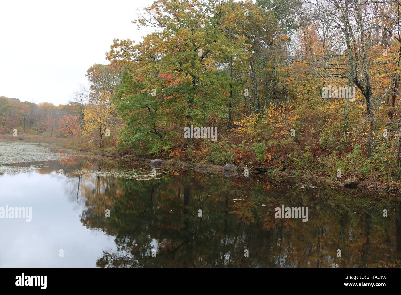 Natural Mirror 2 Stock Photo - Alamy