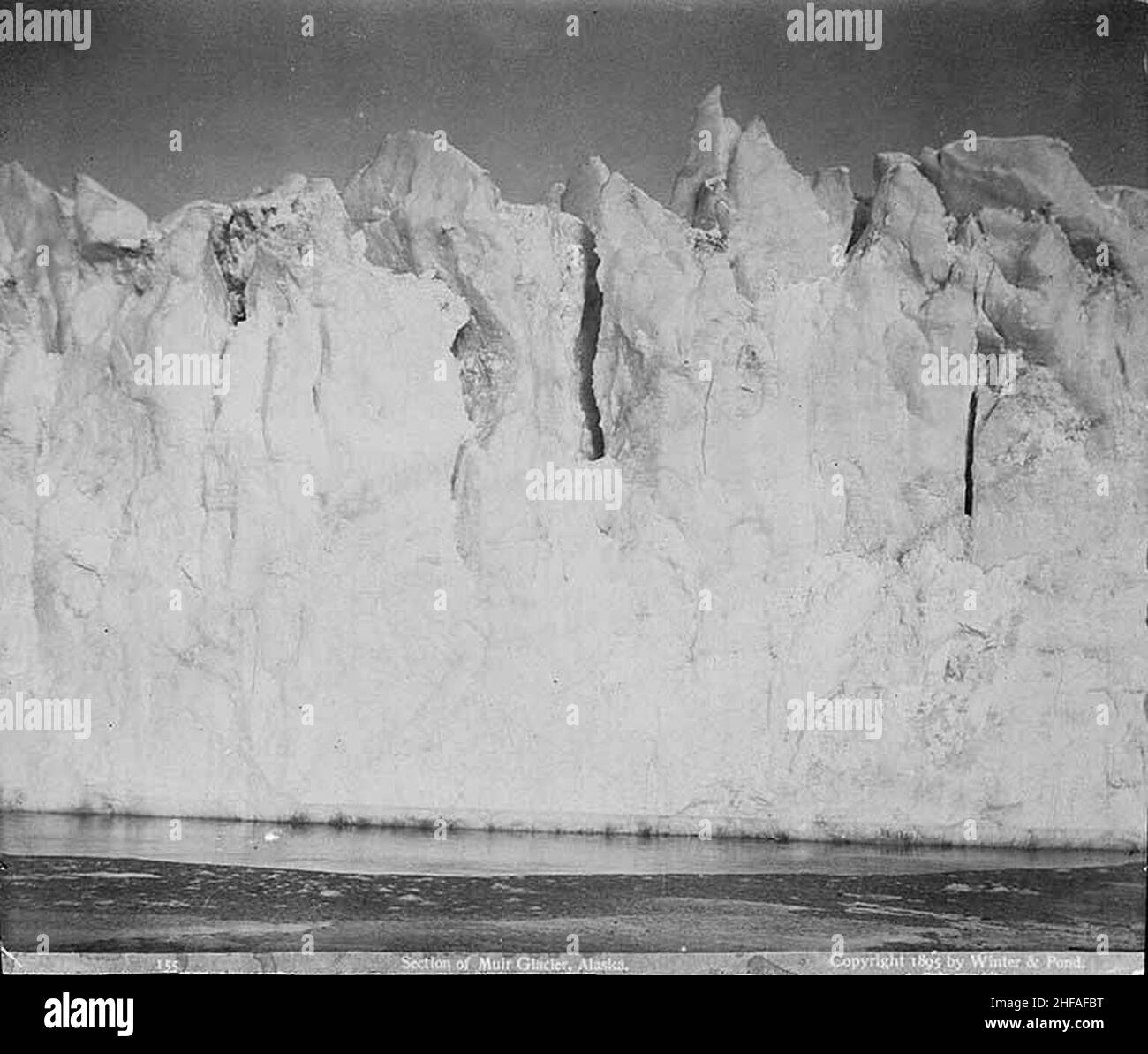 Section of Muir Glacier, Alaska, 1895 (AL+CA 1638 Stock Photo - Alamy
