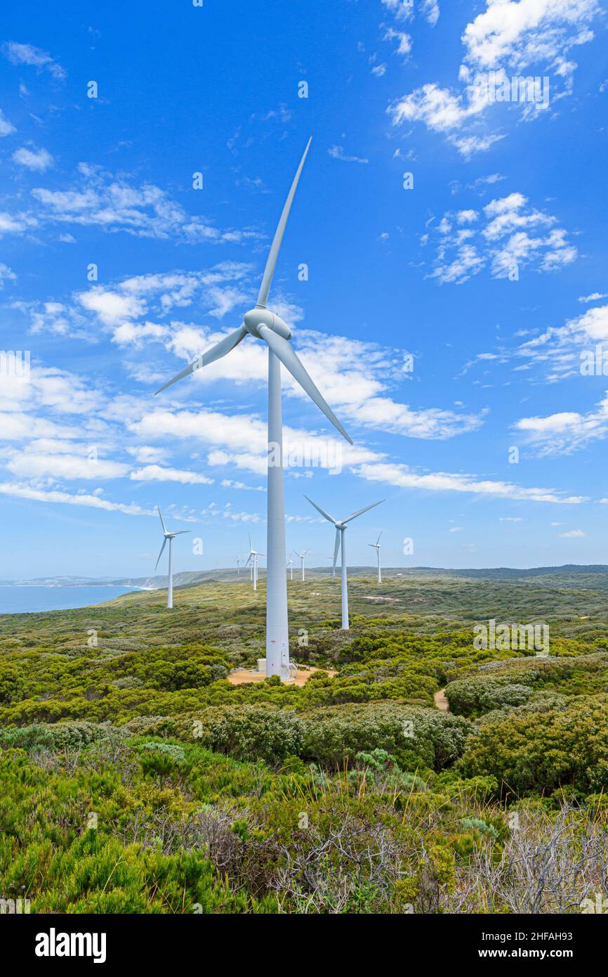 Wind turbines overlooking the ocean at Albany Wind Farm, Torndirrup ...